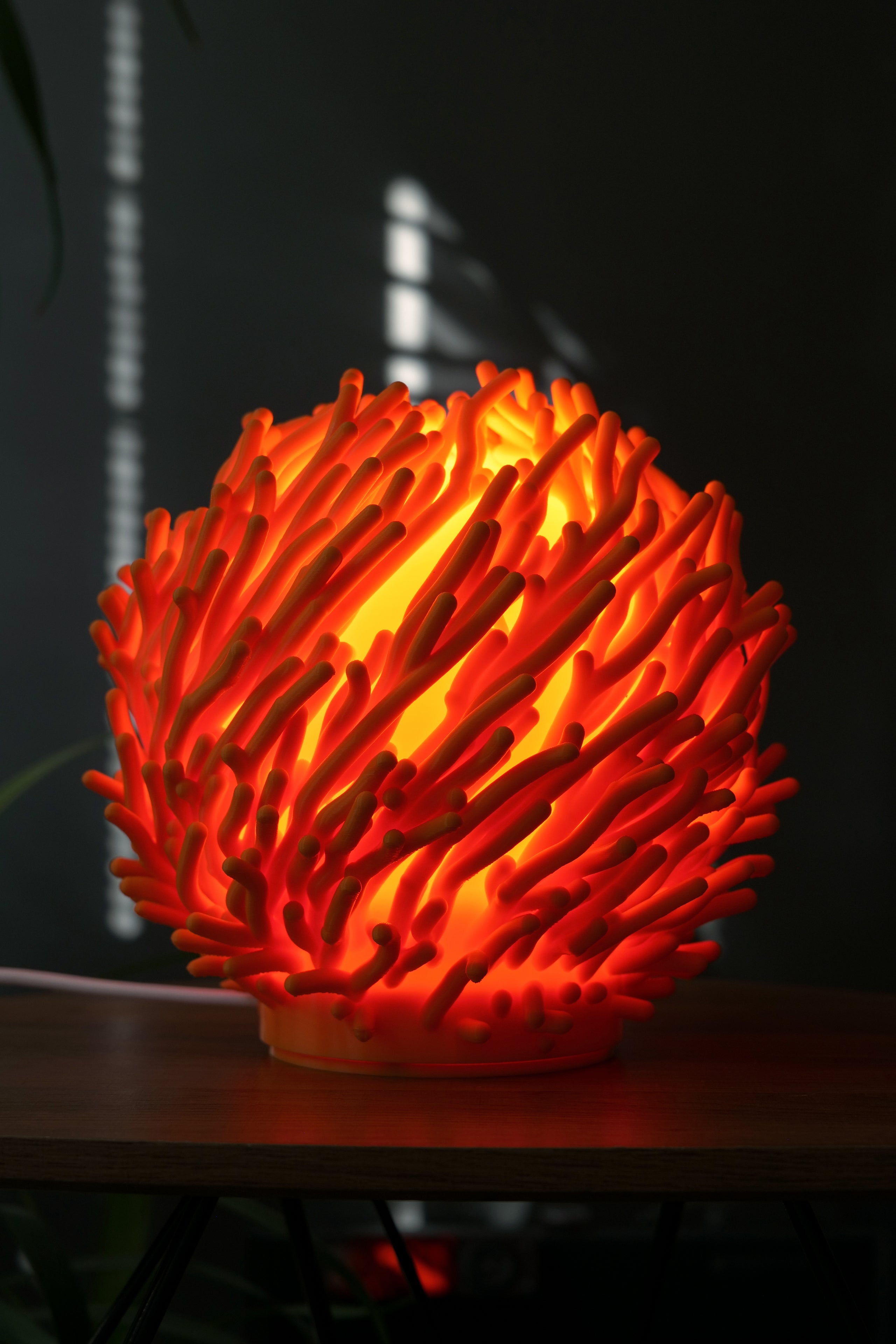 O7 Coral Sculpted Lamp – Leora